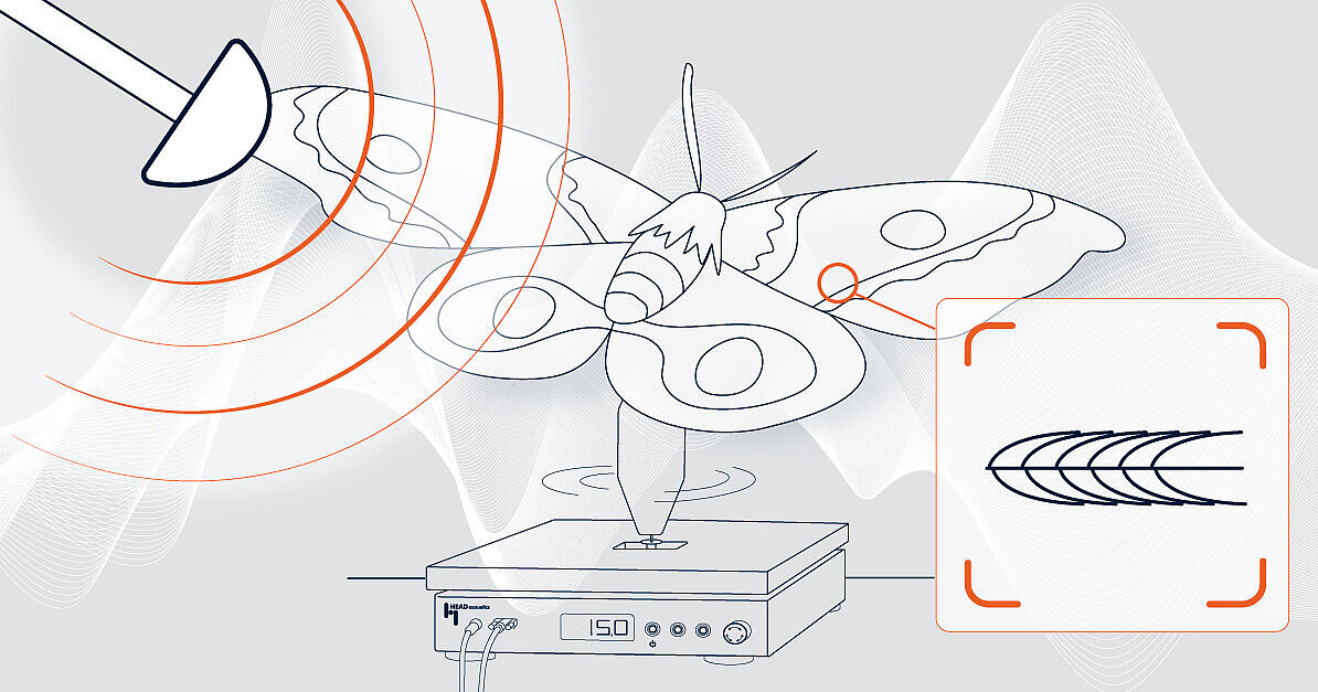 Absorption Mechanisms of Moth Wing Scales